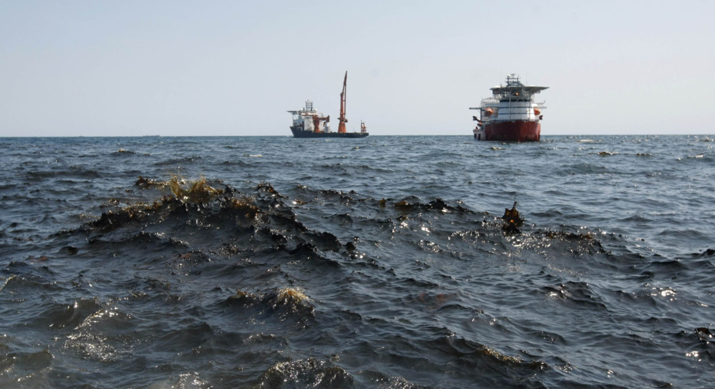 Estudiantes de RGV lanzan programa para proteger el Golfo de México ...